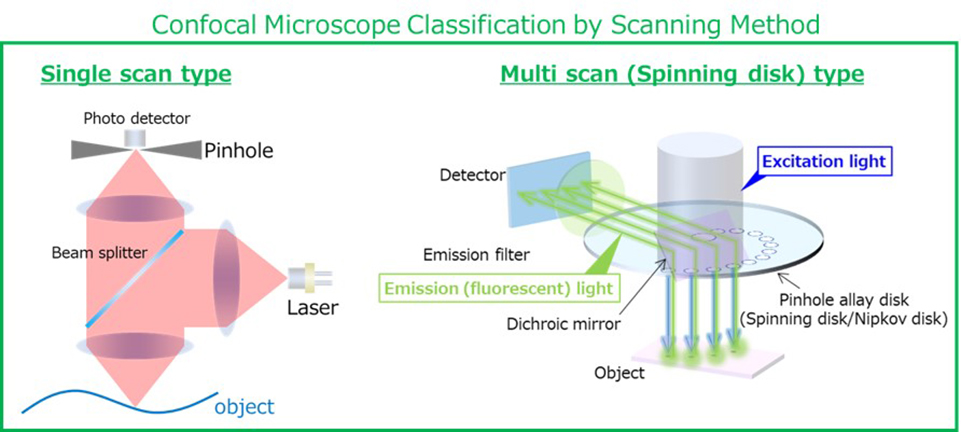 High Resolution Confocal Laser Scanning Microscopy | What's New | Laser ...